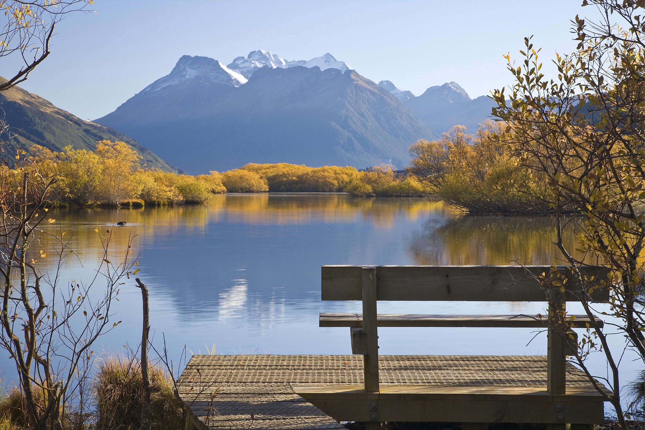 News – Simon Myers Photography